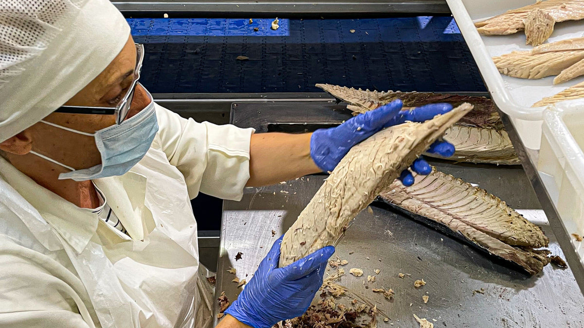 Gourmet Tinned Bonito Tuna – Despaña Brand Foods