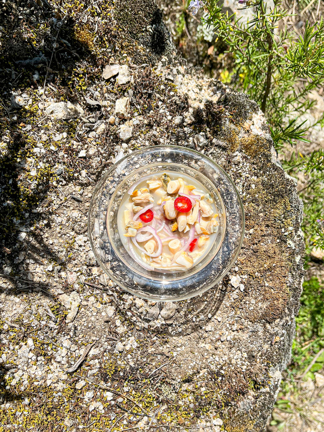 RECIPE: Tinned Razor Clam (Navajas) Ceviche – Despaña Brand Foods